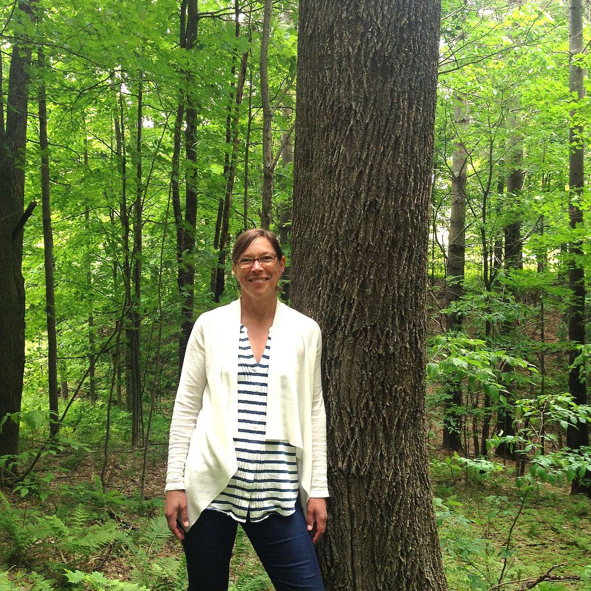 Stowe Land Trust Hires Next Executive Director - Stowe Land Trust