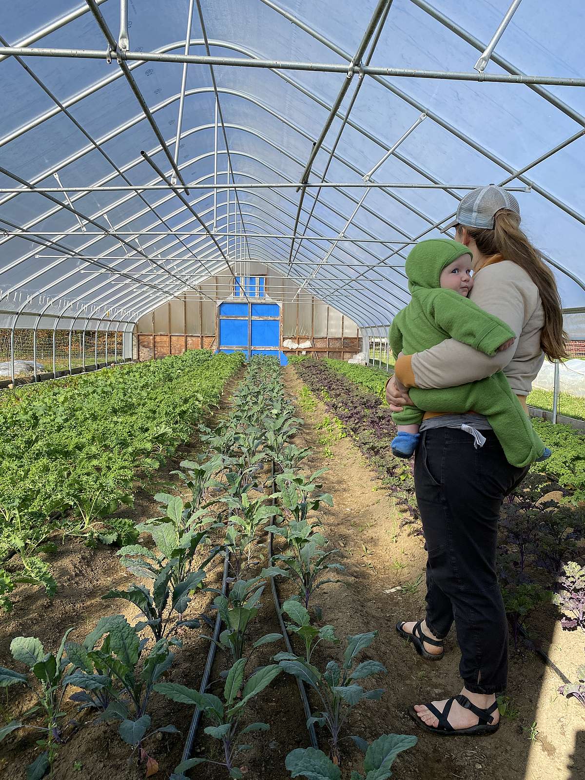 They took a risk, and its paying off - Stowe Land Trust