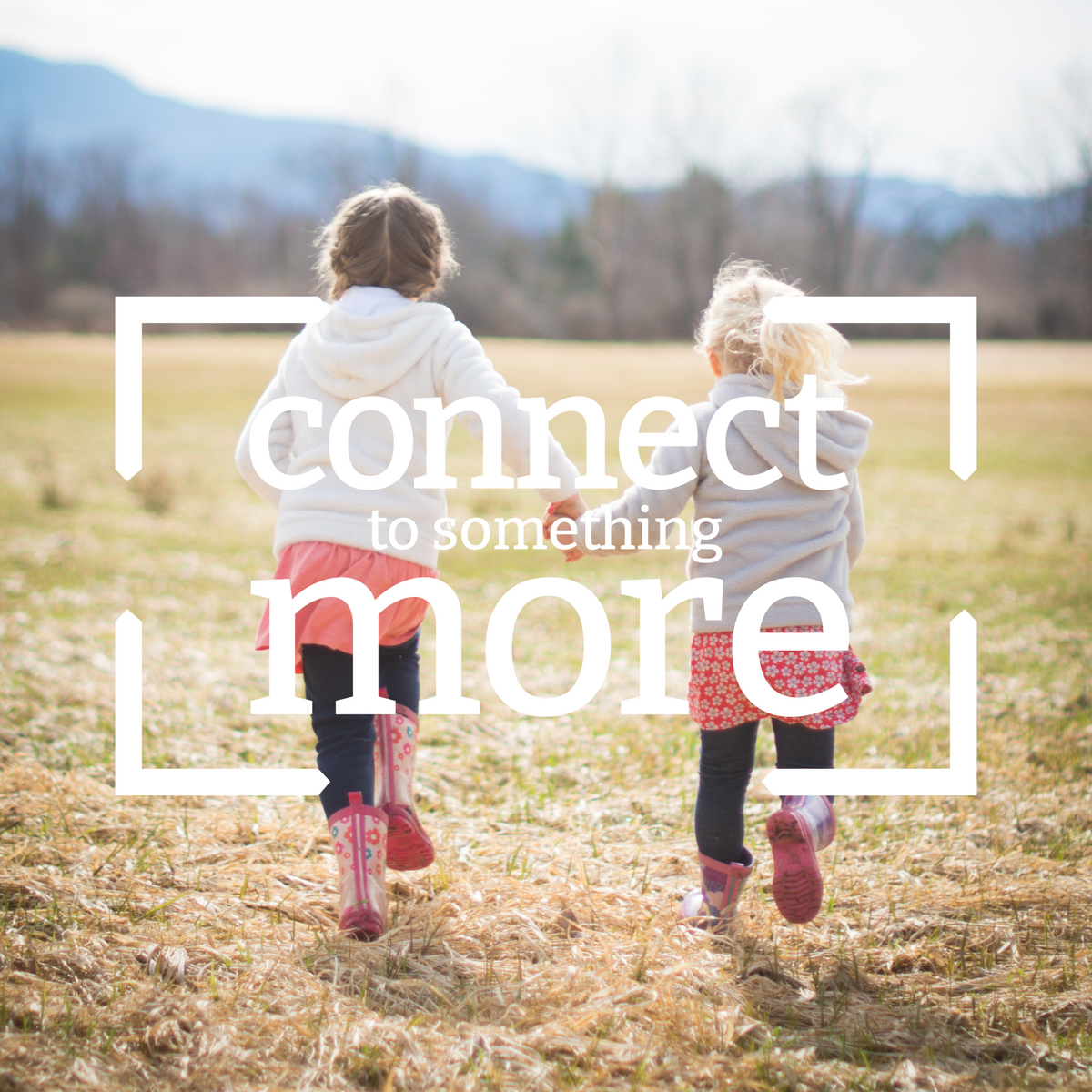 A letter from the Executive Director: introducing our new look - Stowe ...