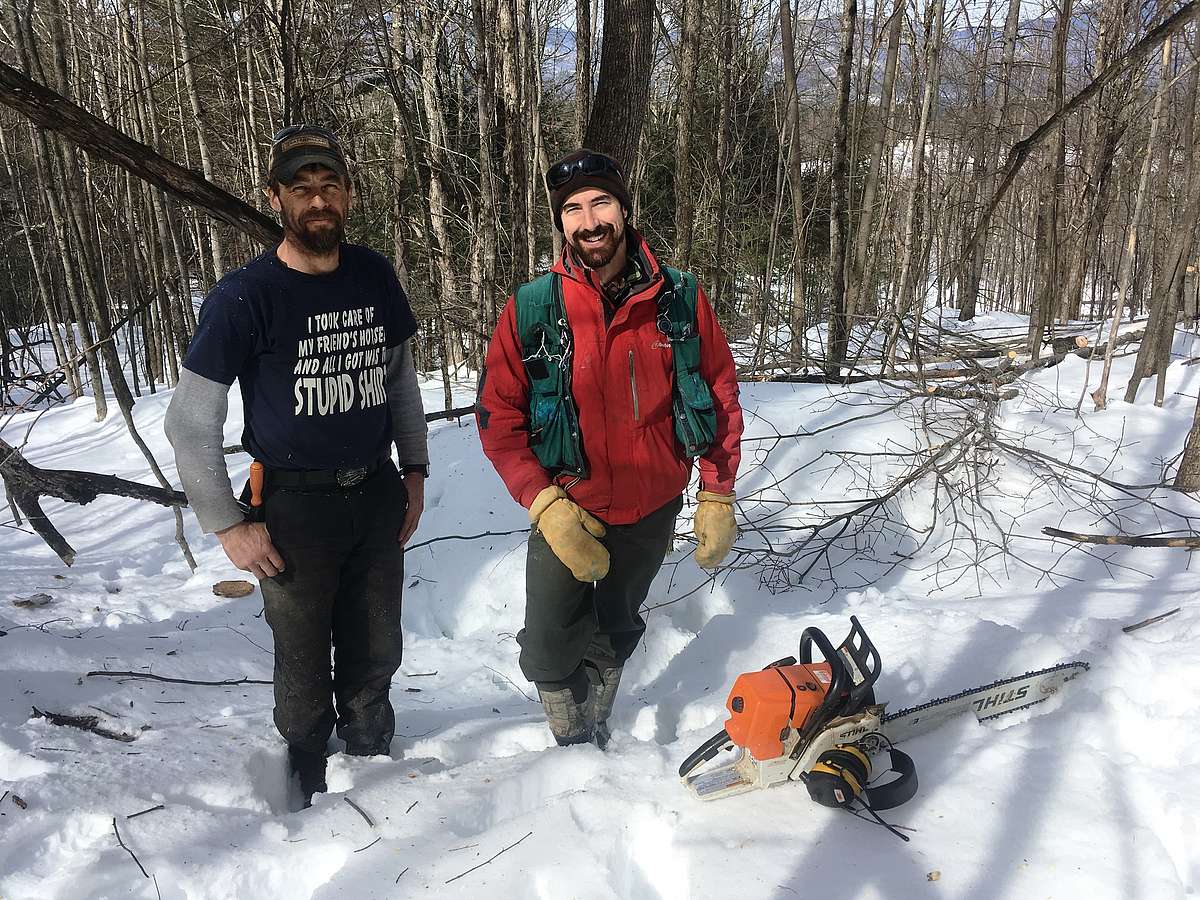 Crop Tree Release at Kirchner Woods is for the Birds - Stowe Land Trust
